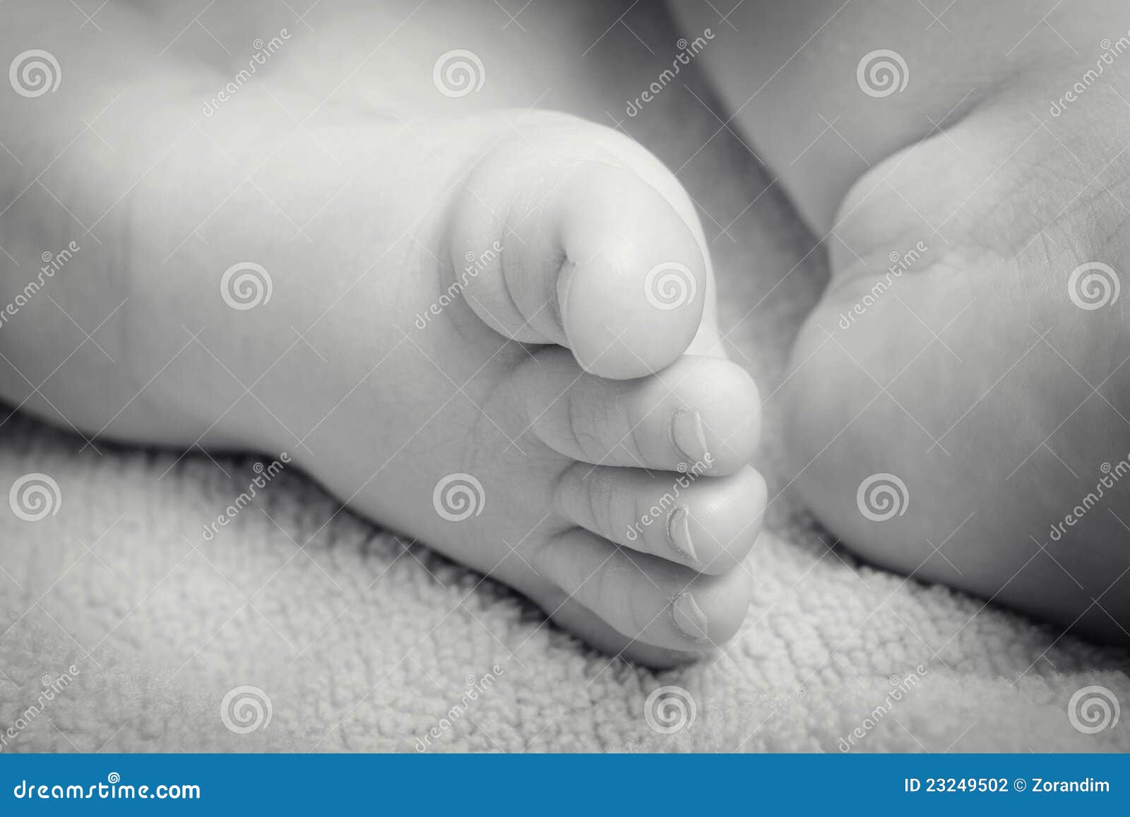 Two small baby girl legs stock photo. Image of innocence - 23249502