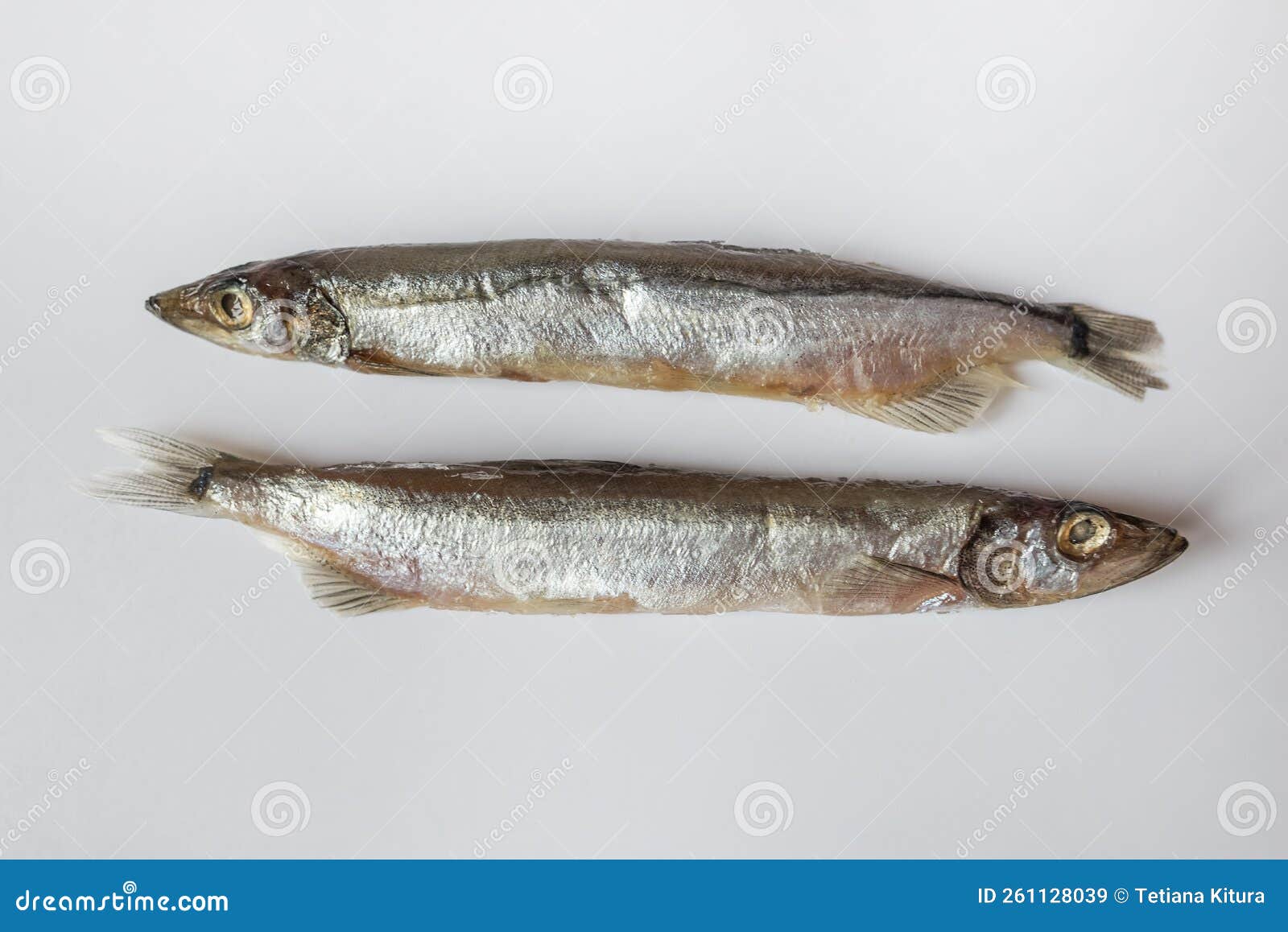 Two Small Capelin Fish Isolated on White Background Stock Image - Image ...