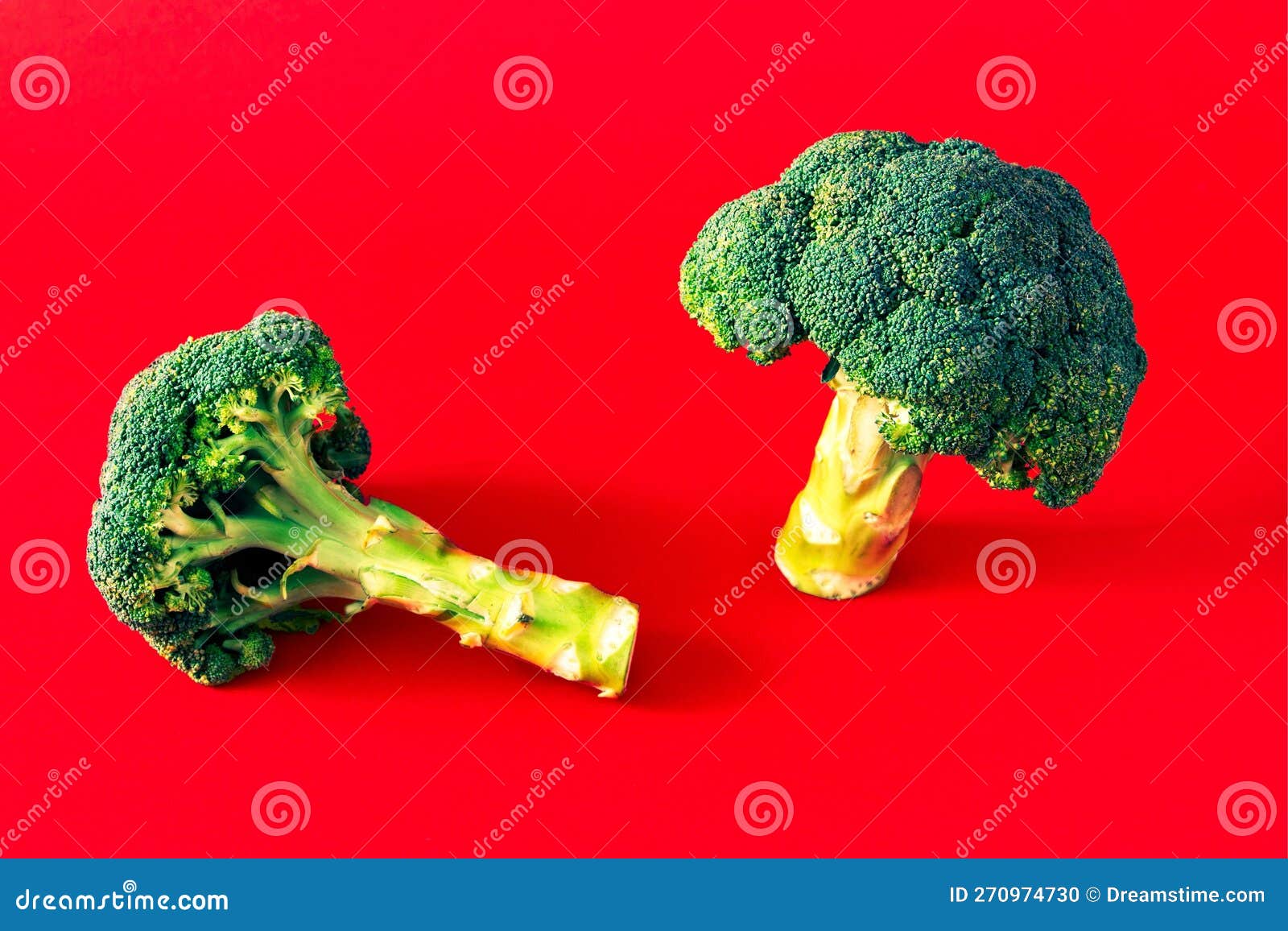 Small Pieces of Broccoli on a Red Background Stock Photo - Image of ...