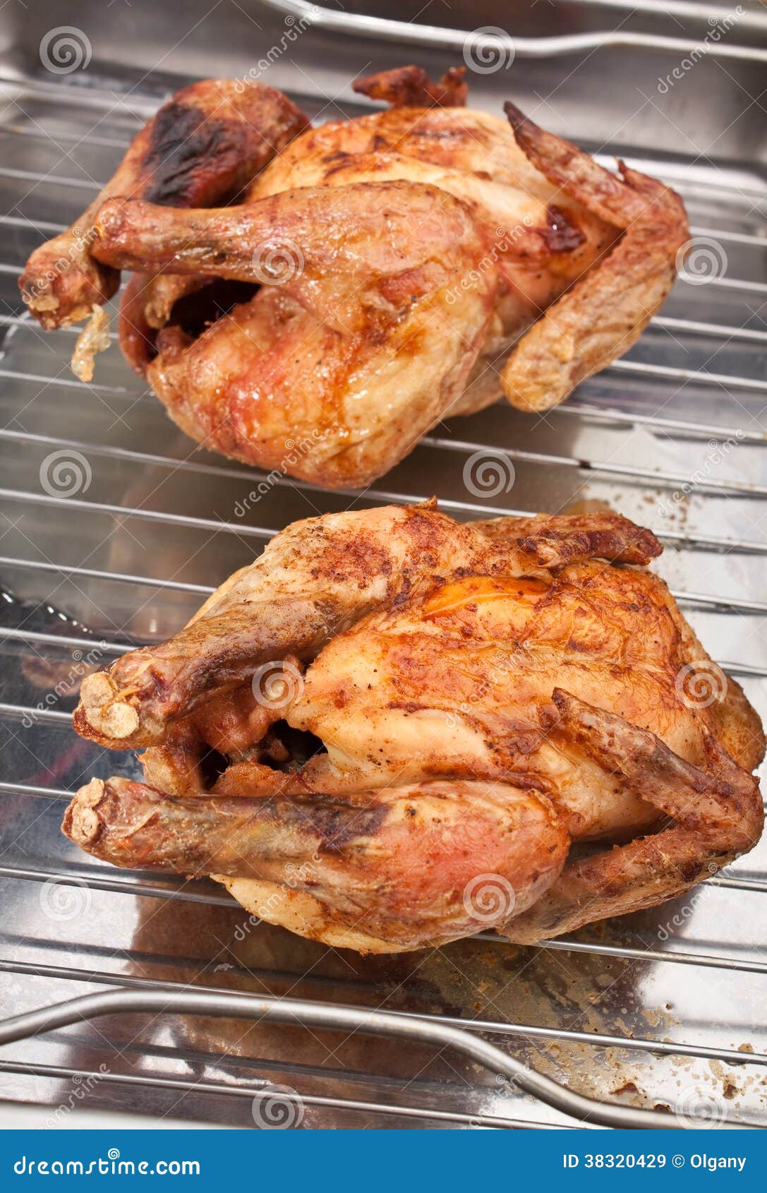 Two Small Roasted Birds stock image. Image of classic - 38320429
