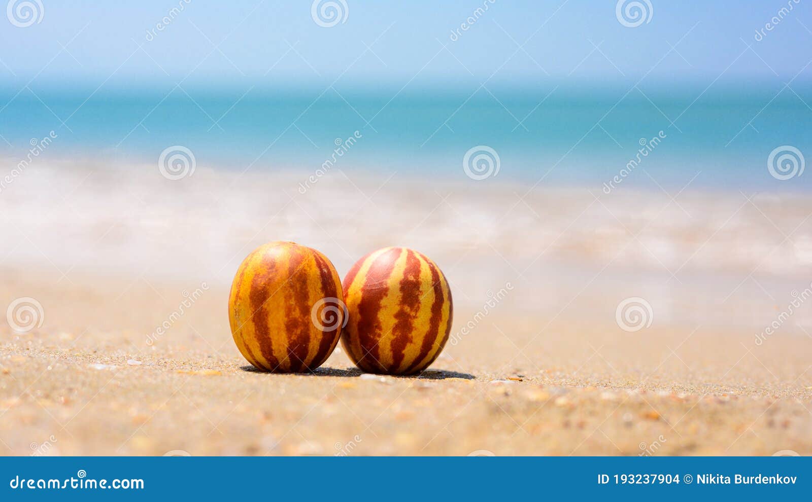 Two Small Striped Melons Stand on a Sandy Beach. Stock Photo - Image of ...