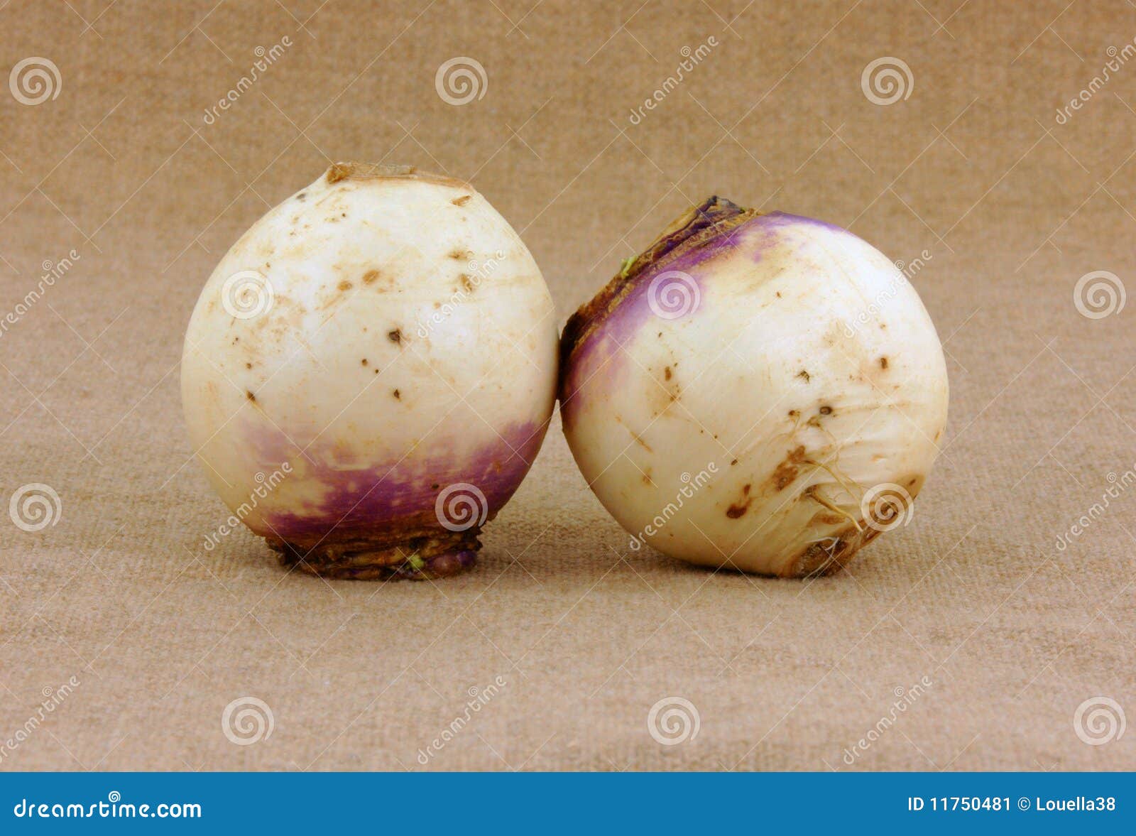 Two small turnips stock image. Image of turnips, food - 11750481