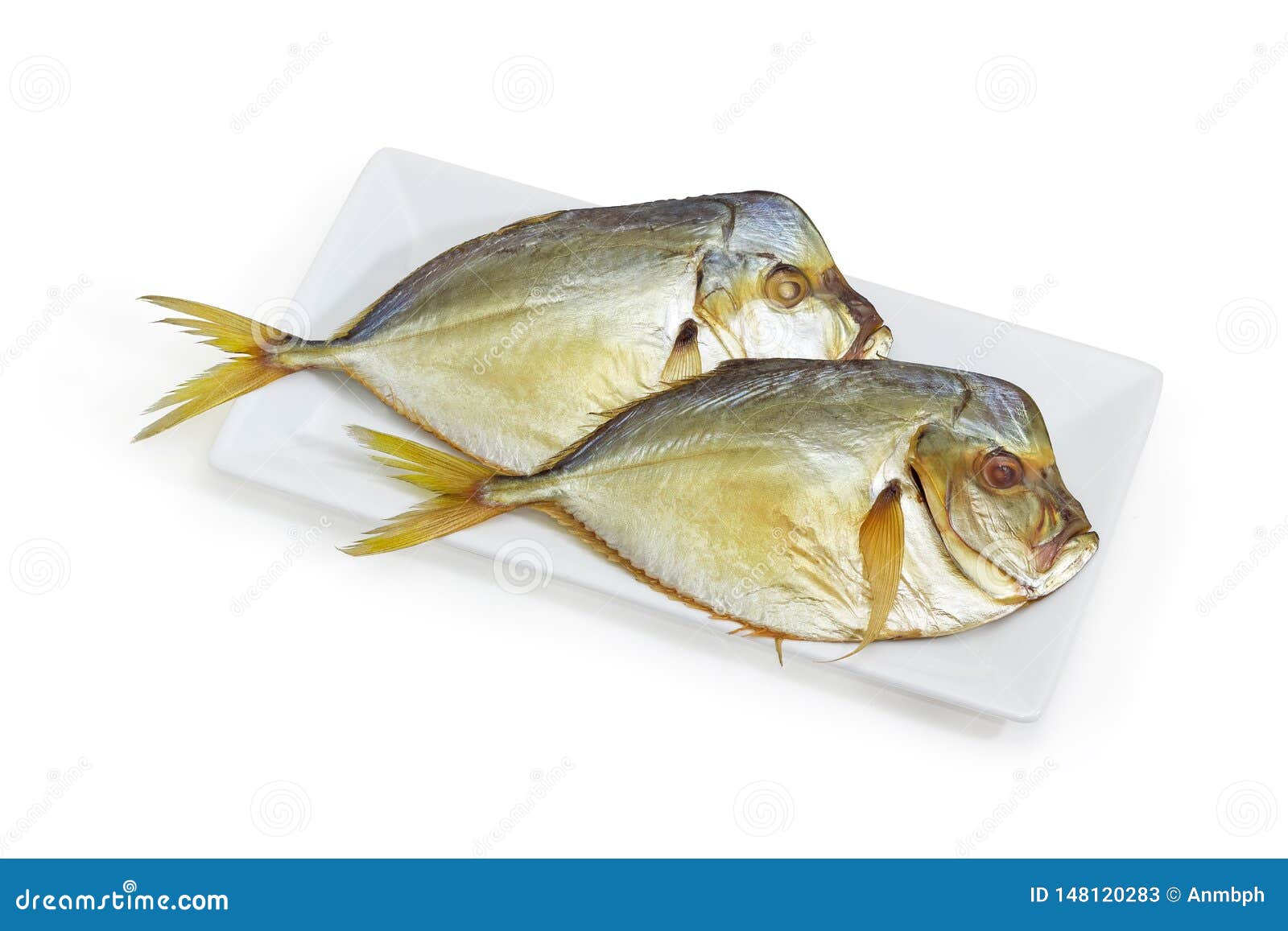 Two Smoked Atlantic Moonfish on Dish on a White Background Stock Image ...