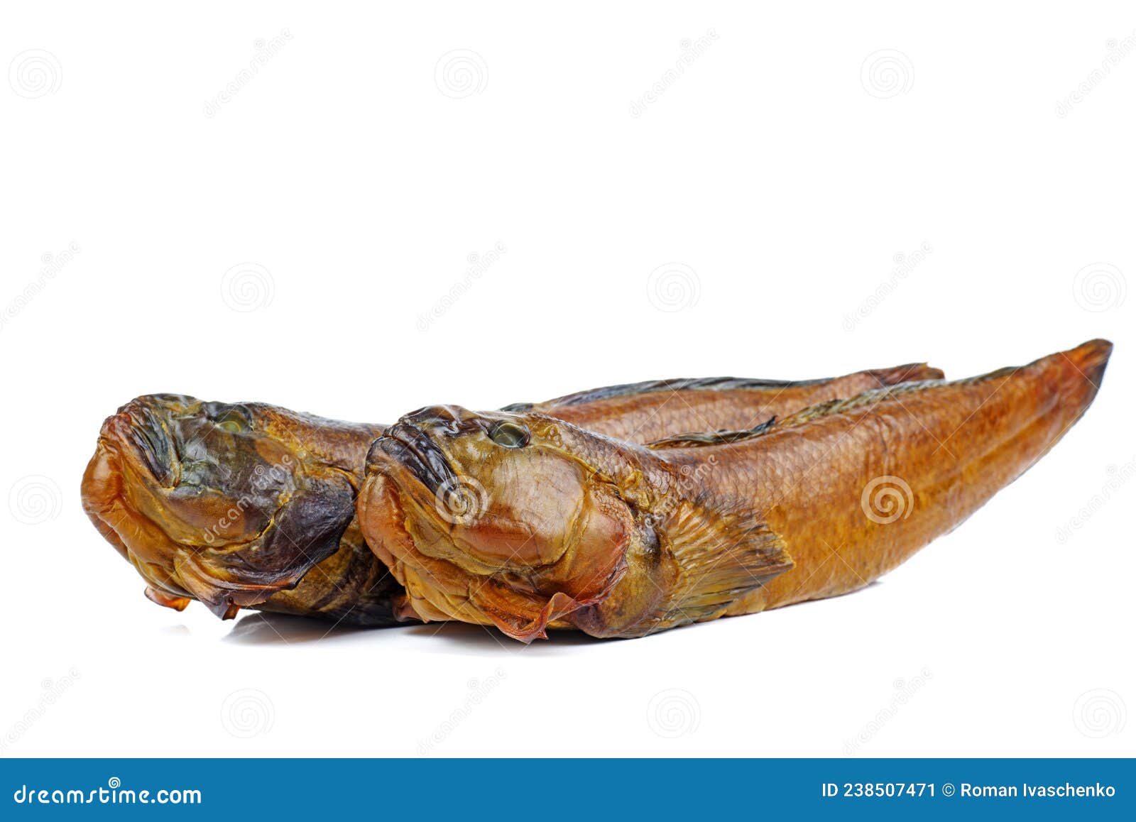 Two Smoked Round Goby Fish Isolated on White Stock Image - Image of ...