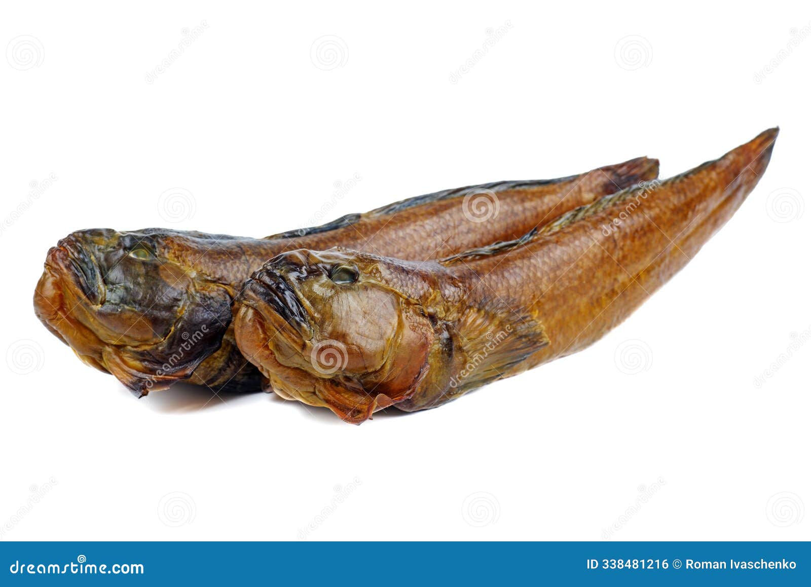 Goby Fish. Brown Bullhead Of China Sea Isolated On Blurred Water ...