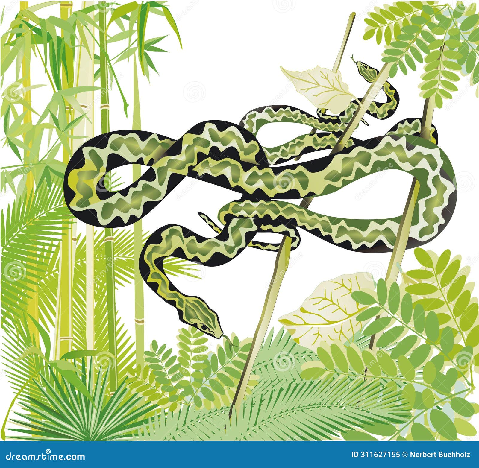 Two Snakes in the Jungle, Illustration Stock Vector - Illustration of ...