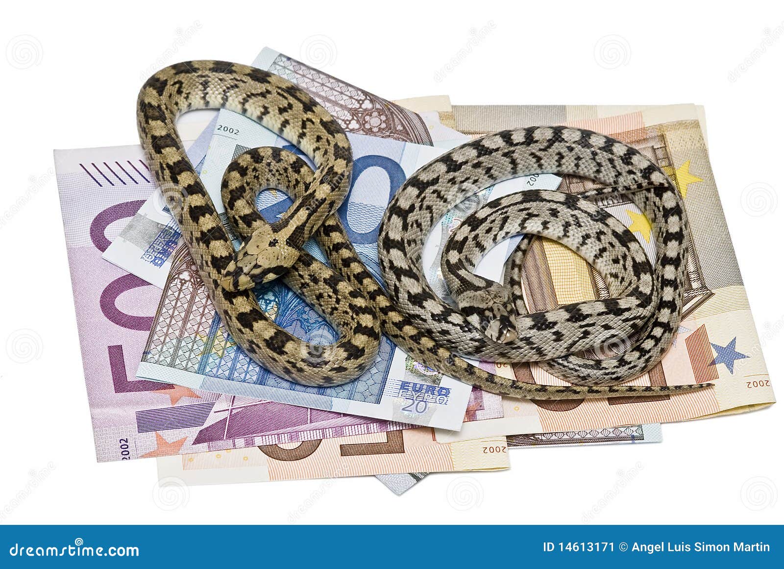 Two Snakes on a Lot of Money. Stock Image - Image of idea, demon: 14613171