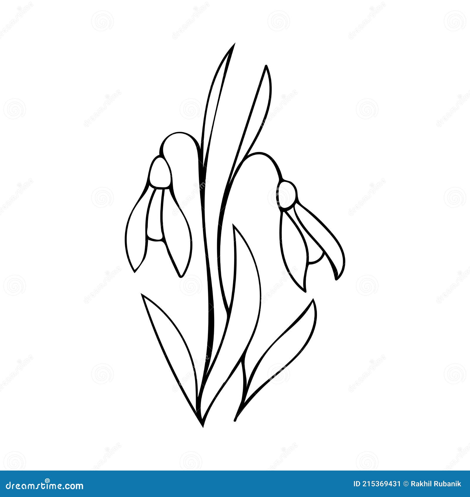 Two Snowdrops. Vector Illustration Doodle Style. Stock Vector ...