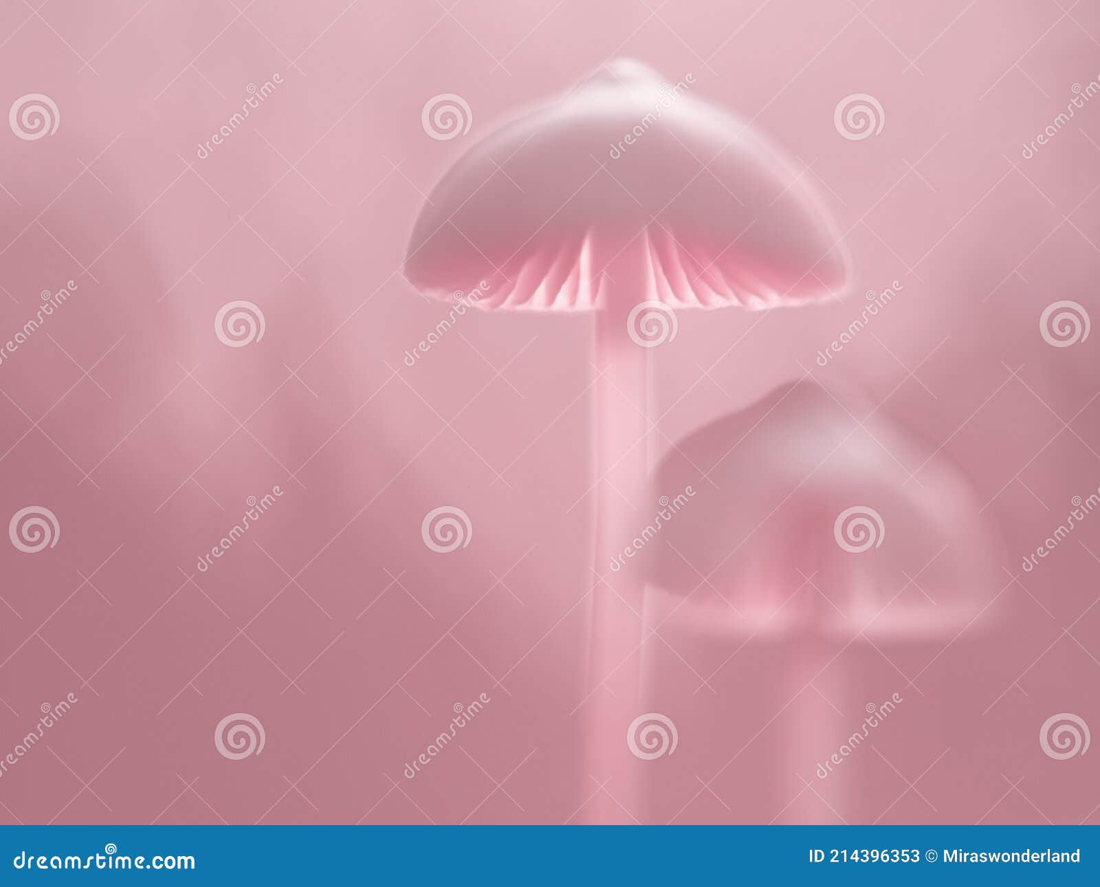 Two Soft Pink Toadstools in a Pink Surrounding Stock Image - Image of ...