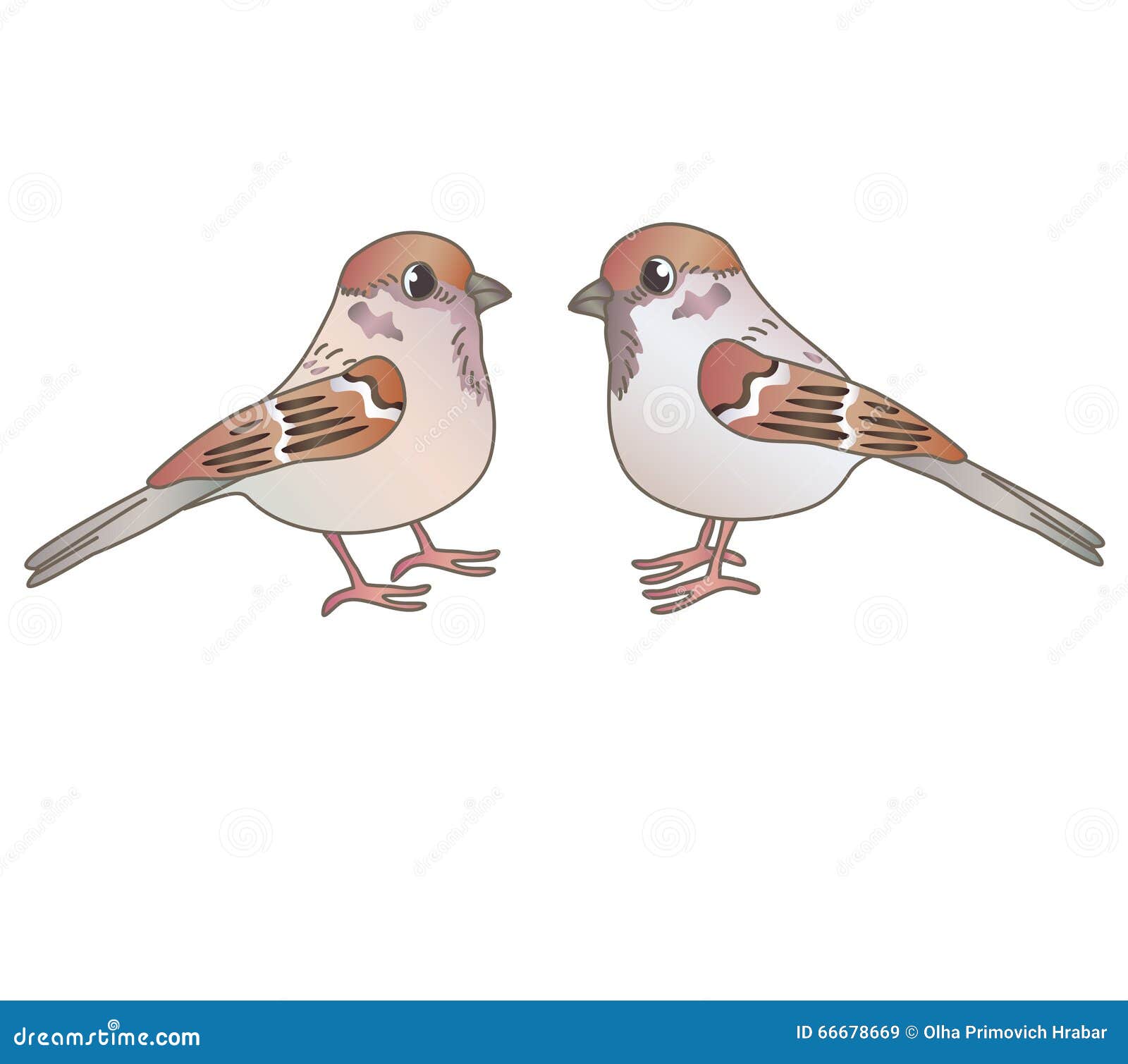 Two sparrows stock vector. Illustration of bird, grey - 66678669