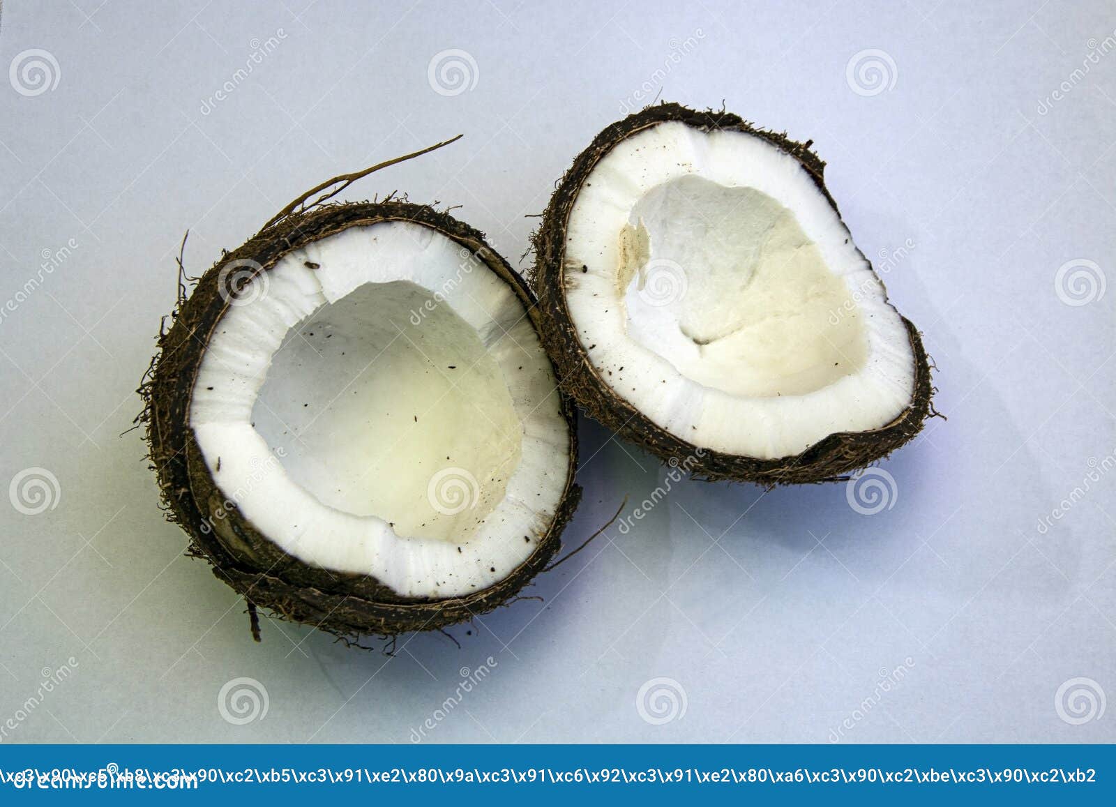 Two split coconut halves. stock image. Image of freshly - 215918397