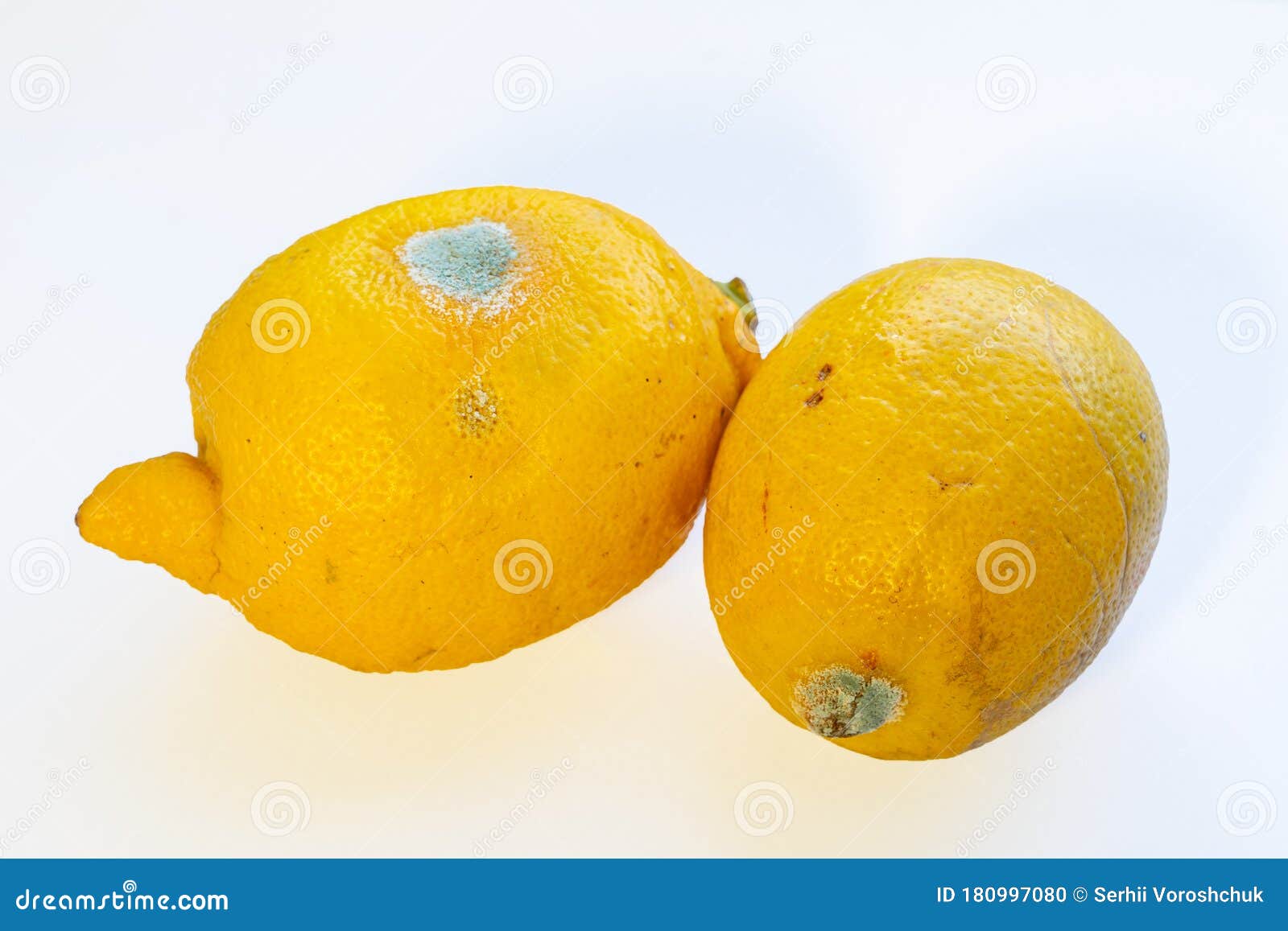 Two Spoiled Lemons on a White Background Stock Photo - Image of ...