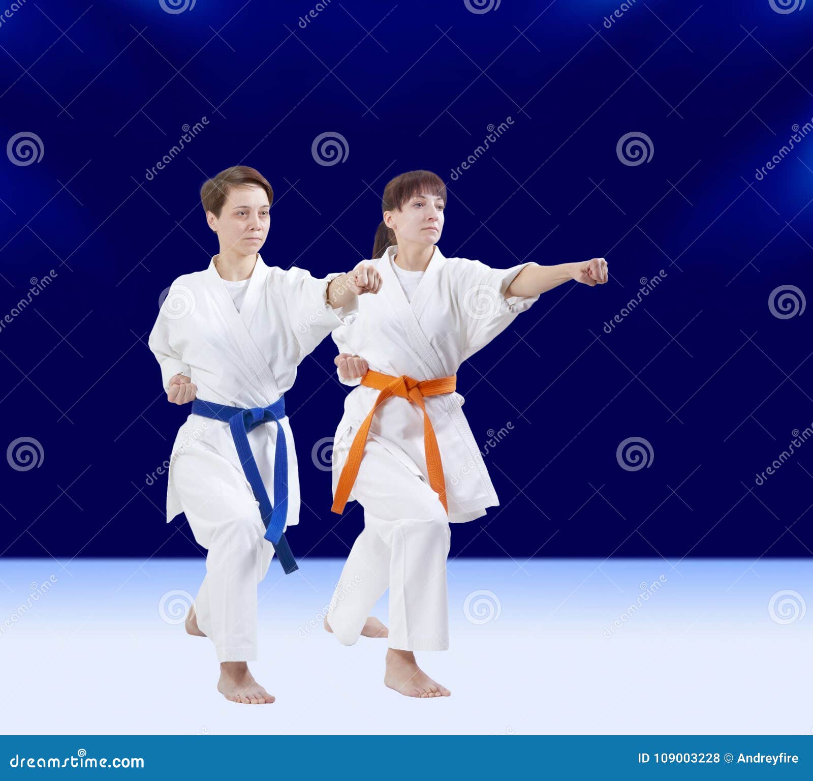 Two Sportswomen are Training Punch Hand Stock Photo - Image of karate ...