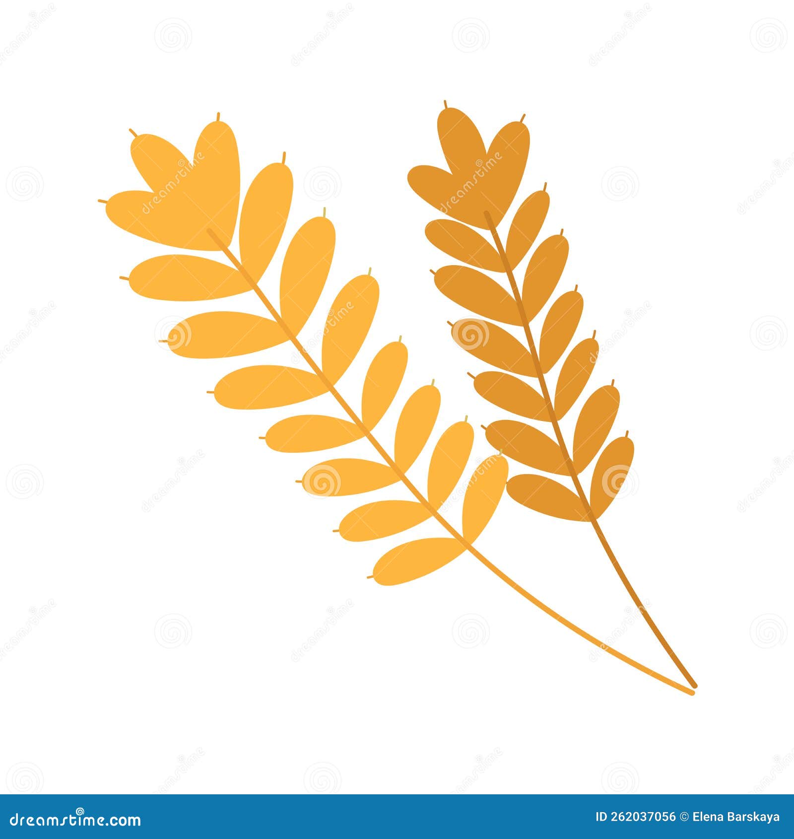 Two Sprigs of Wheat on White Background for Web Design Stock Vector ...