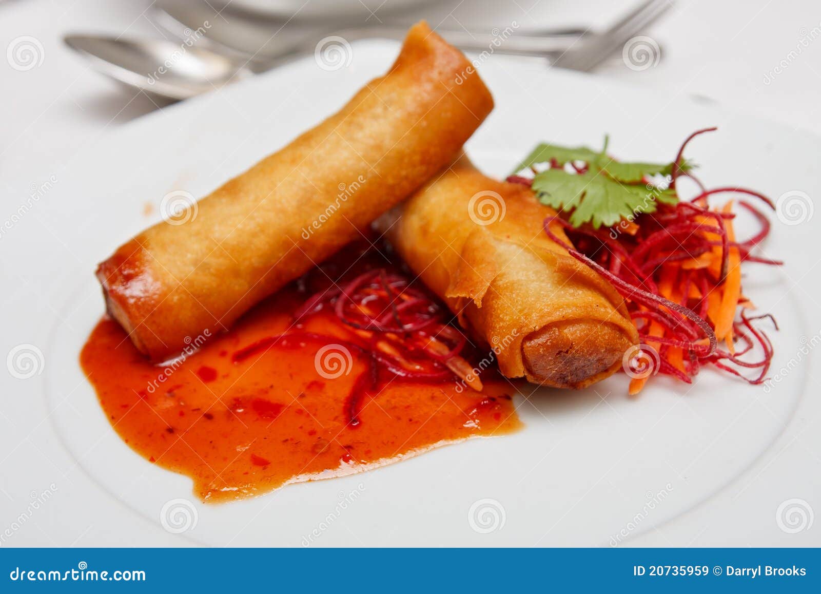 Two Spring Rolls on White Plate with Sauce Stock Image - Image of lunch ...