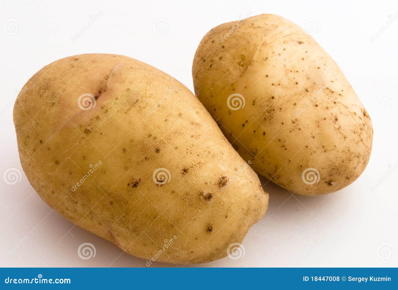 Two spuds stock photo. Image of vegetable, spuds, pair - 18447008