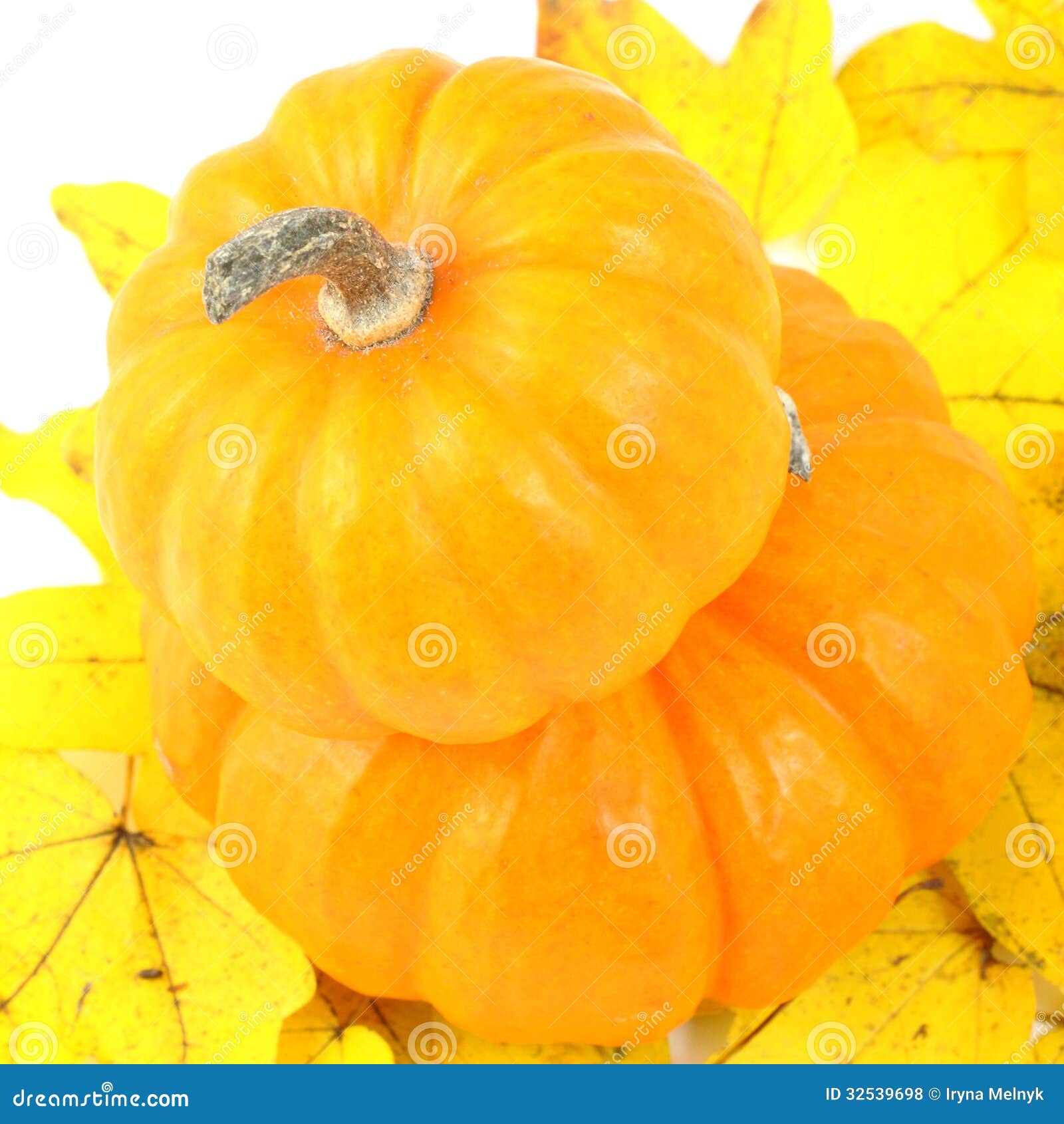 Two Stacked Mini Pumpkins on Fall Yellow Leaves Stock Photo - Image of ...