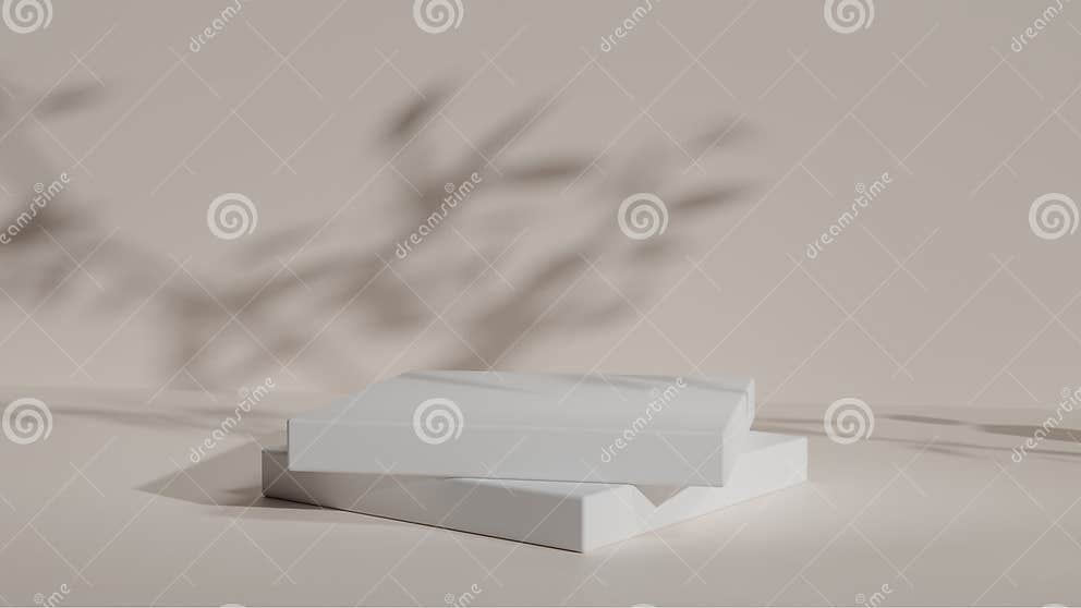 Two Stacked Rectangular Platforms Made of White Material Sit on Light ...