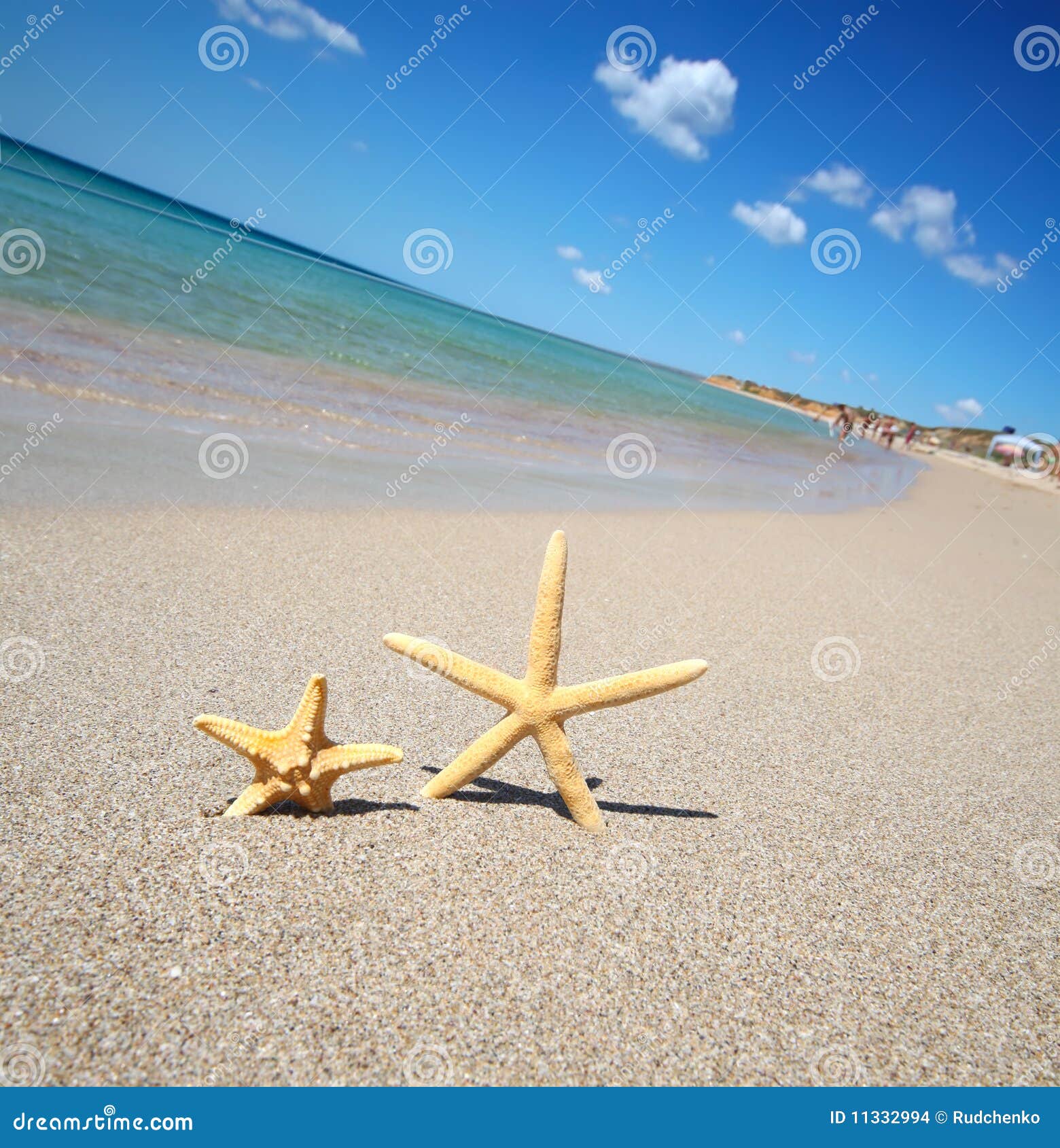 Two starfish stock photo. Image of paradise, nature, beach - 11332994