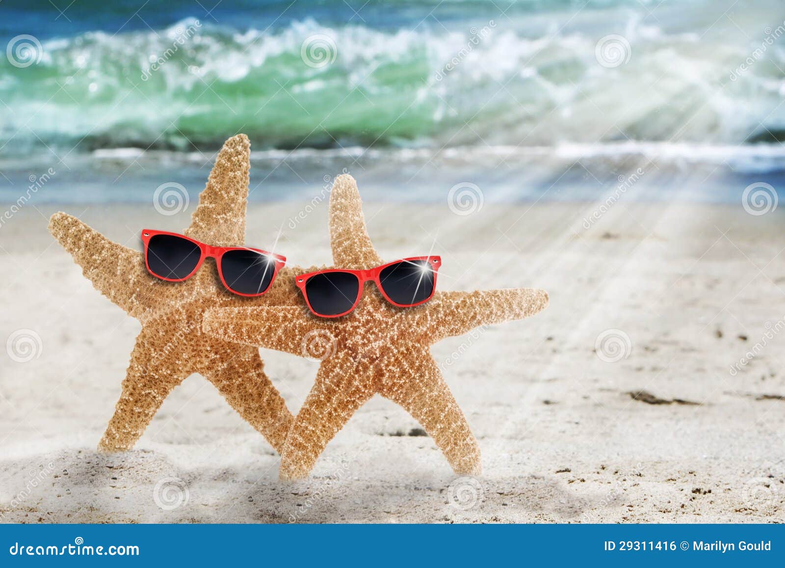 Two Starfish On Beach