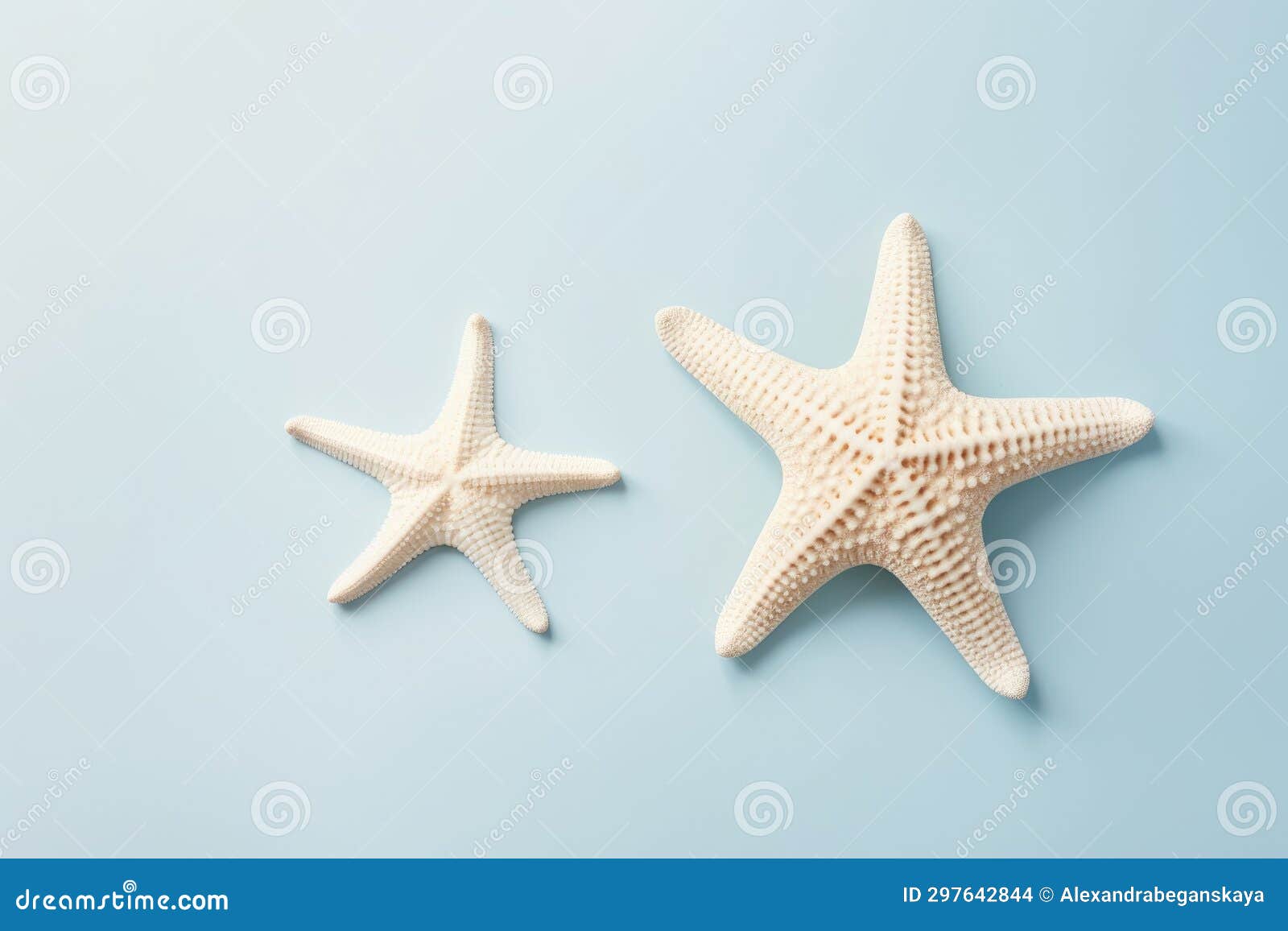 Two Starfish are Lying on a Blue Background Stock Illustration ...