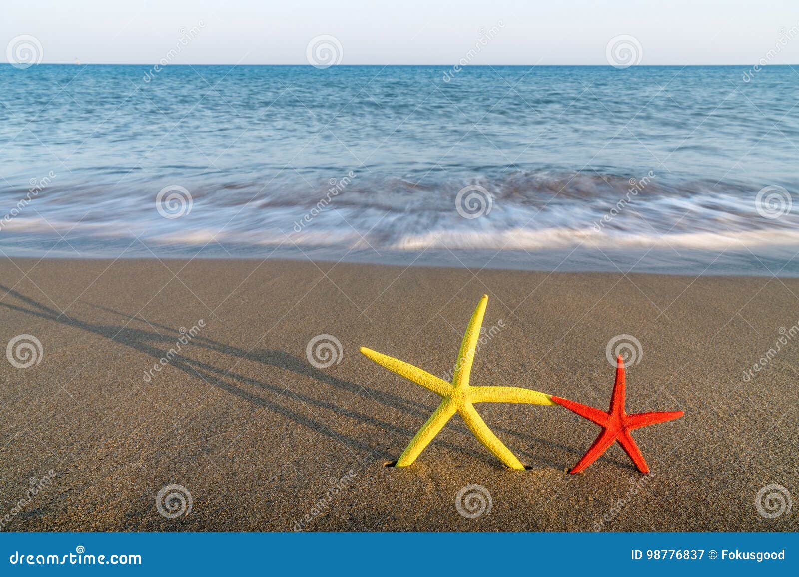 Two Starfish on the Sea Shore Stock Image - Image of couple, leisure ...