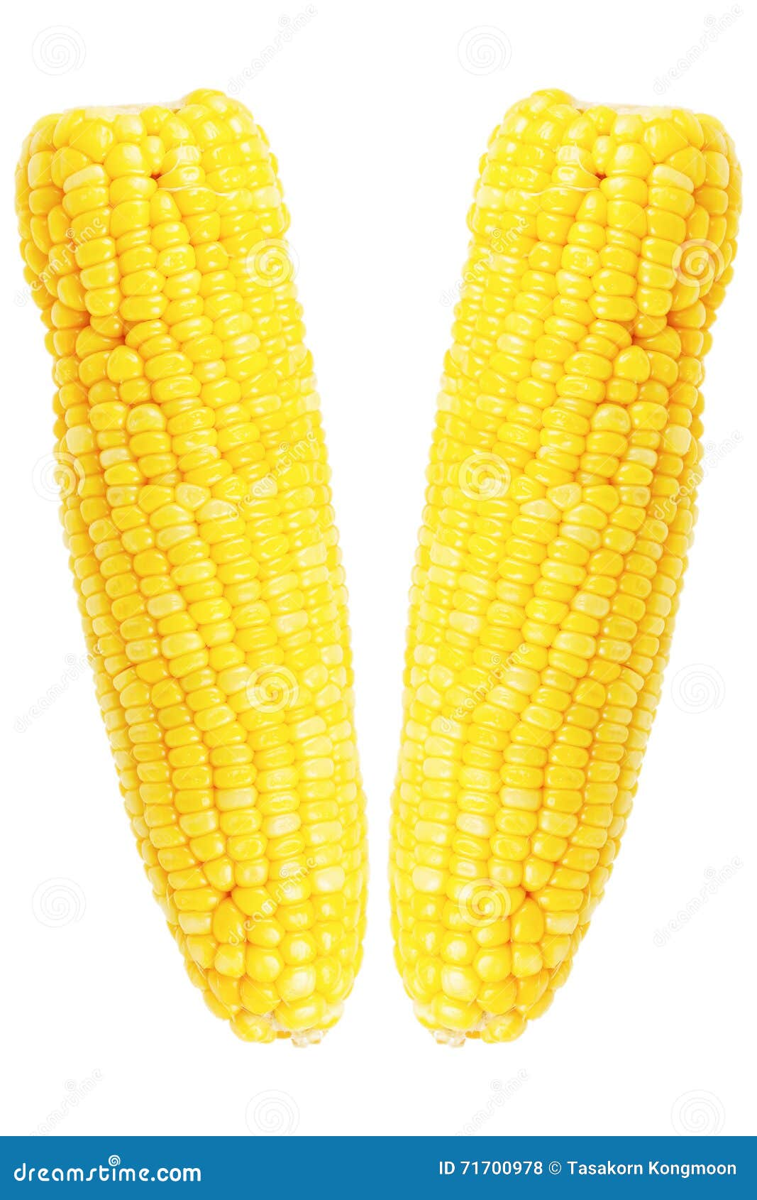 Two Steamed Corns Isolated on White Stock Photo - Image of copy, farm ...