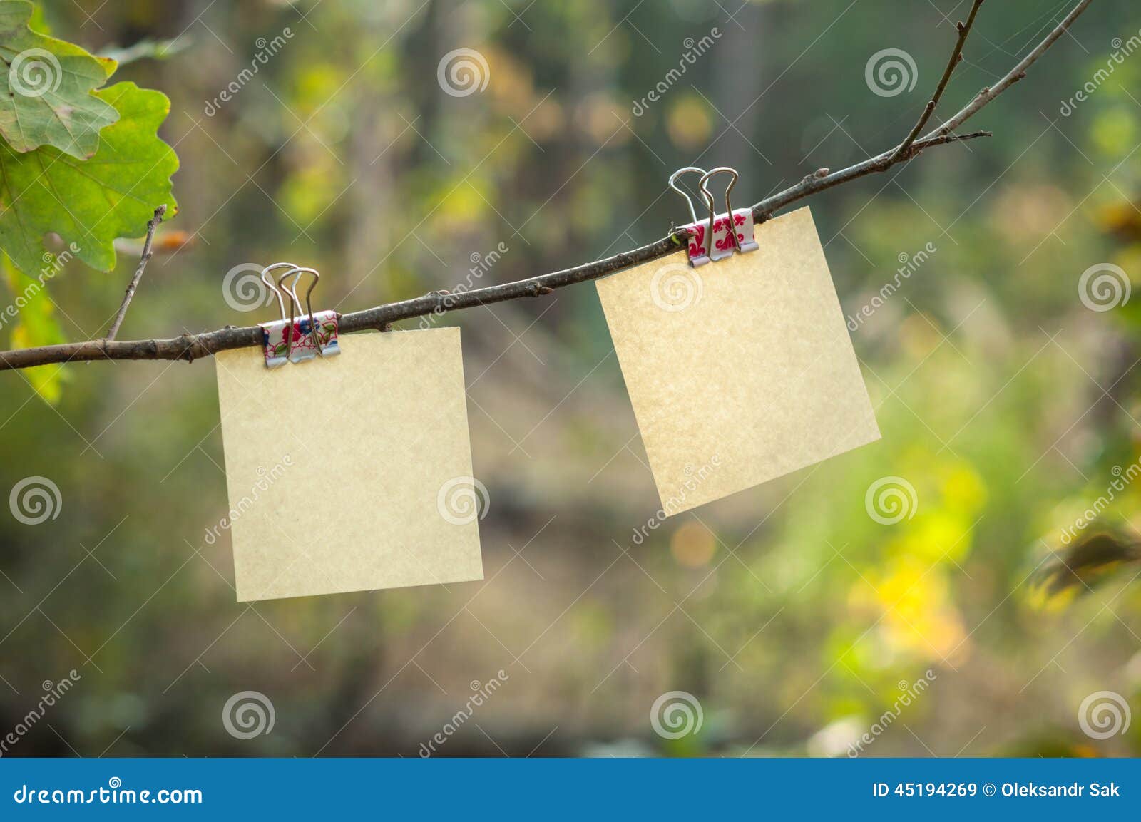 Two Sticker Hanging on a Branch Stock Image - Image of clip, bulletin ...