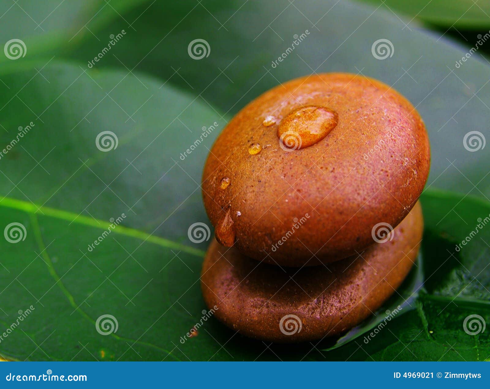 Two stones stock image. Image of life, healthy, alternative - 4969021