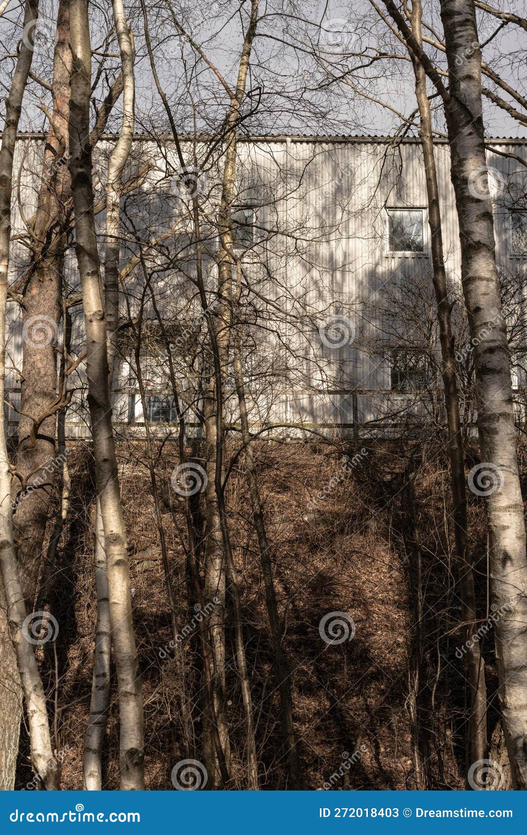 Two Storey Warehouse Behind a Small Forest.. Stock Image - Image of ...