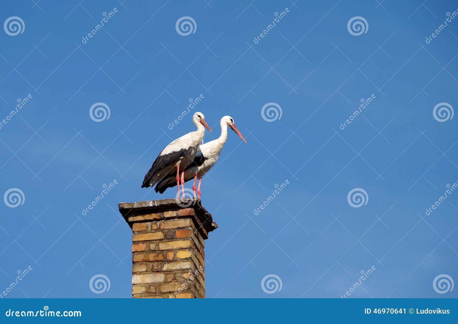 Two storks on chimney stock image. Image of summer, white - 46970641