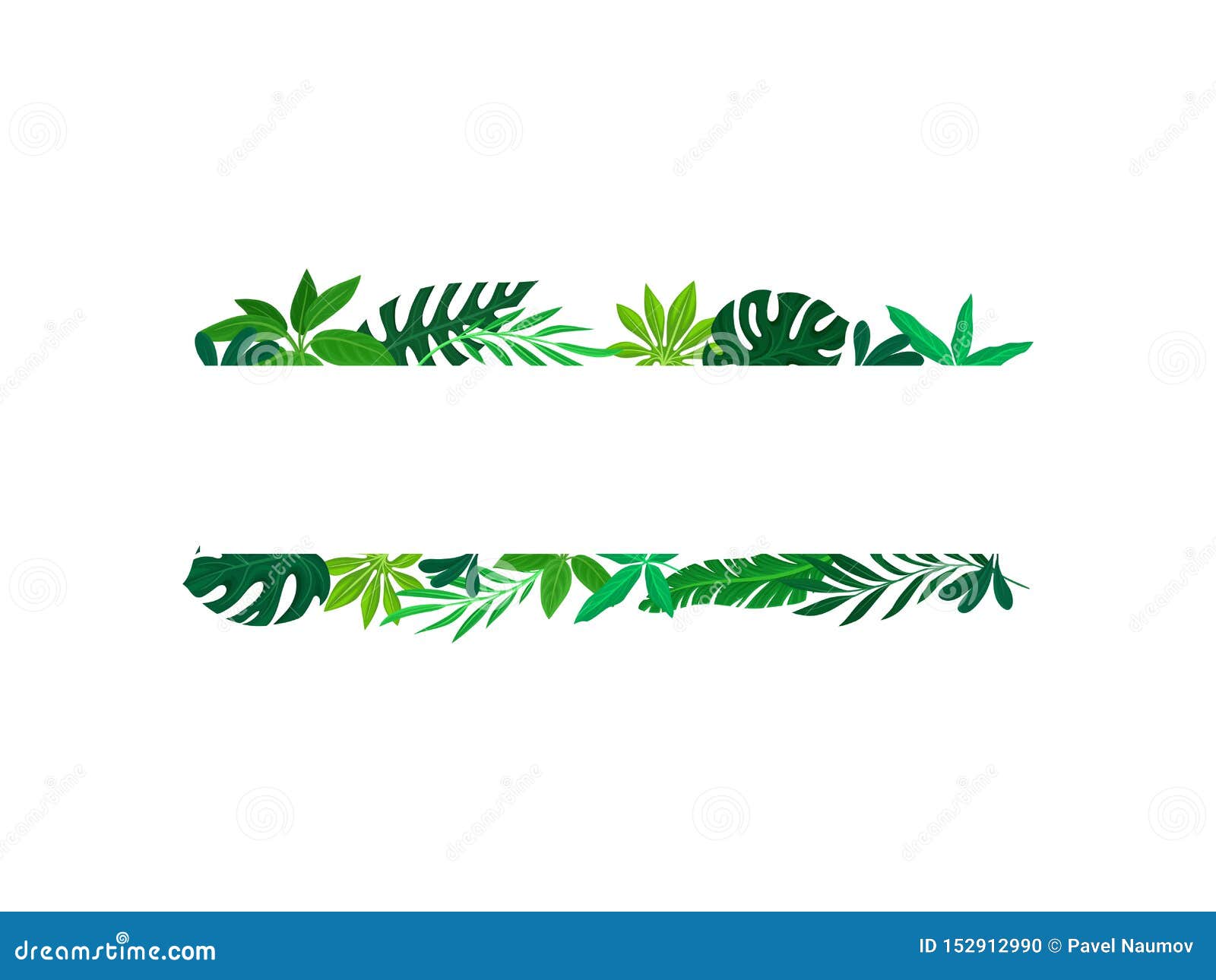 Two Straight Leaves. Vector Illustration on White Background. Stock ...