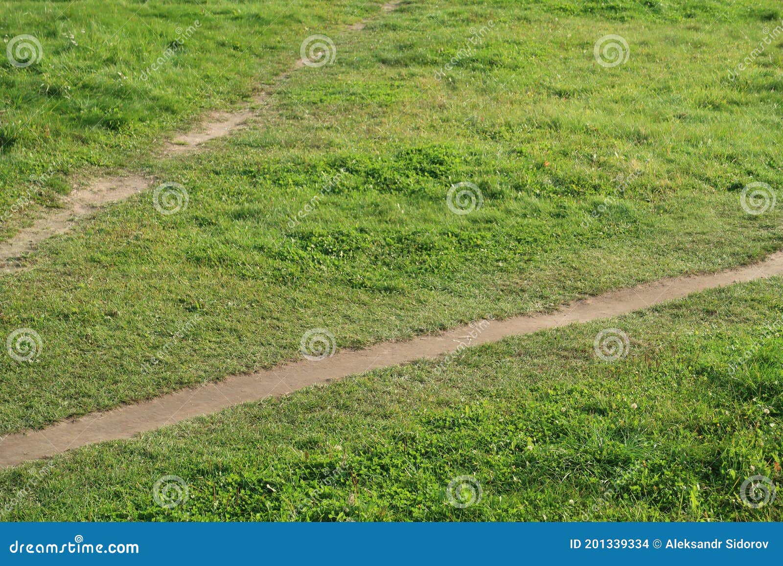 Two Straight Narrow Paths on a Green Lawn Stock Photo - Image of ...