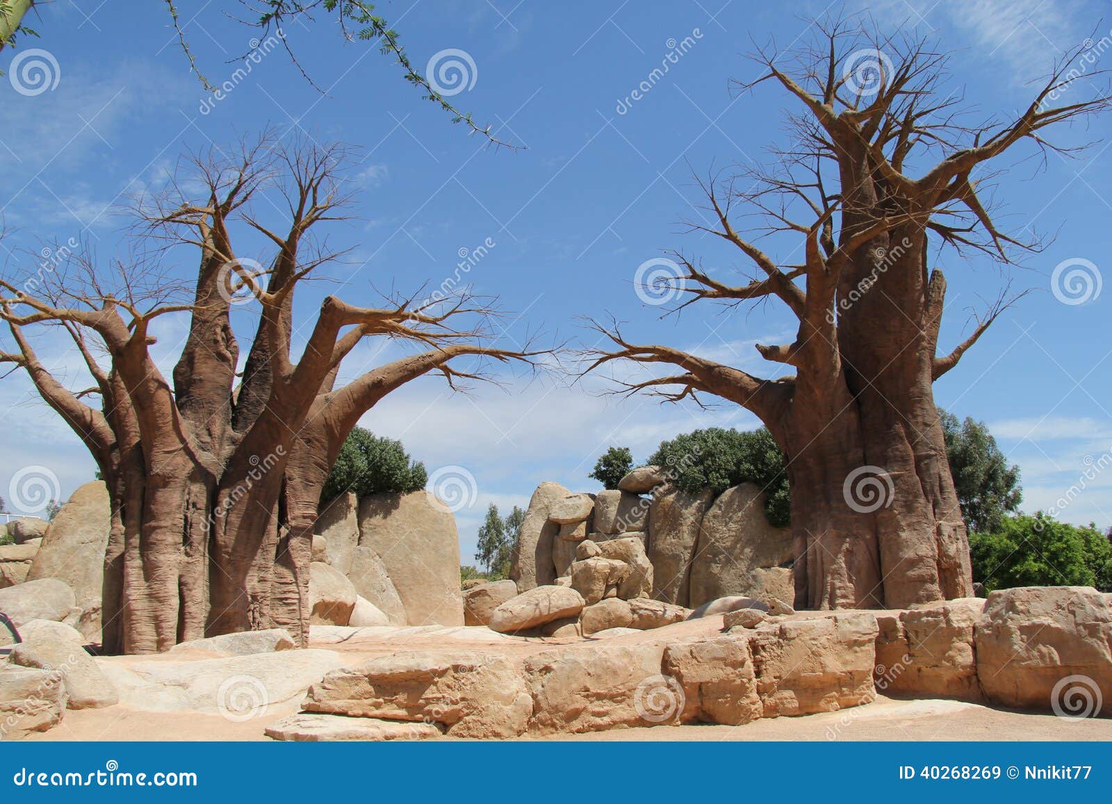 Two strange trees stock image. Image of stones, background - 40268269