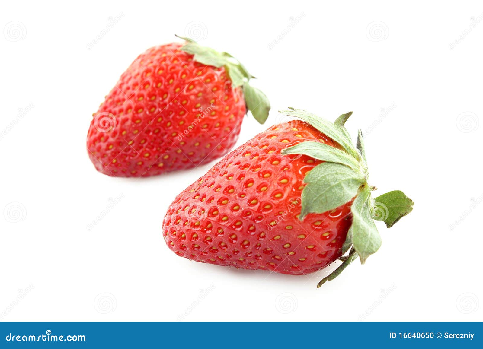Two strawberries isolated stock photo. Image of healthy - 16640650