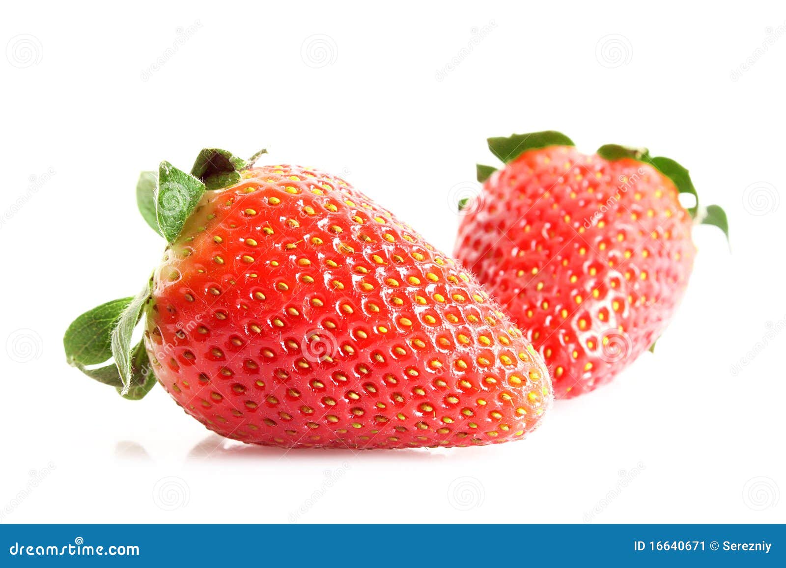 Two strawberries isolated stock image. Image of isolated - 16640671