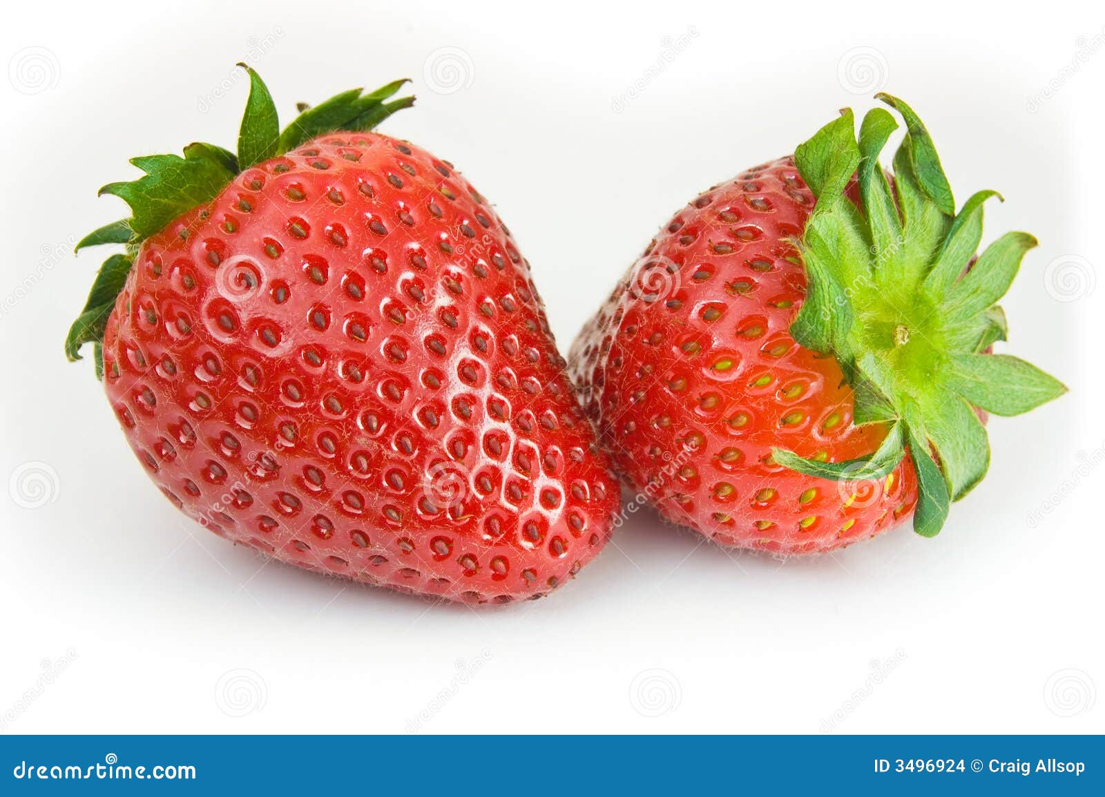 Two strawberries isolated stock photo. Image of pair, juicy - 3496924