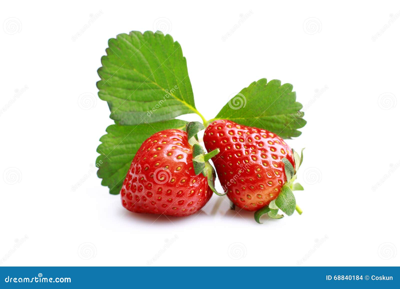 Two strawberries stock photo. Image of berry, object - 68840184