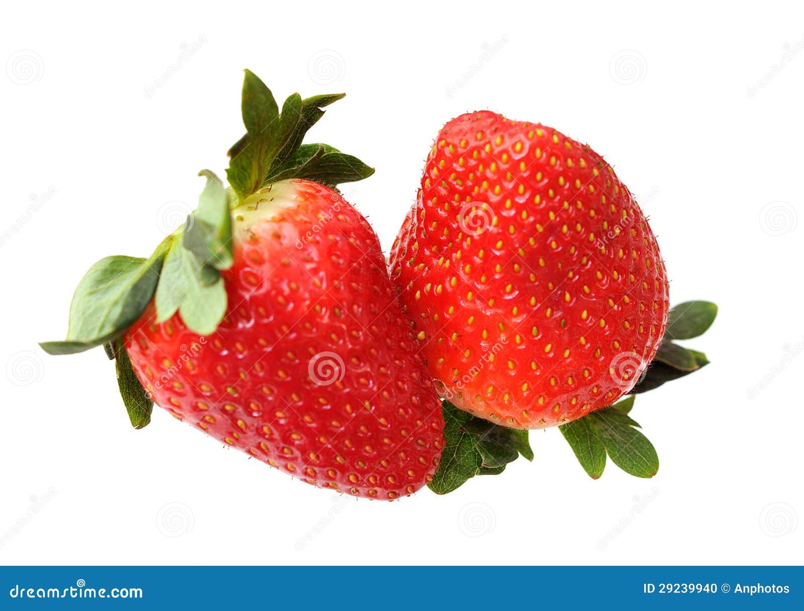 Two strawberry stock photo. Image of ripe, fruit, berry - 29239940
