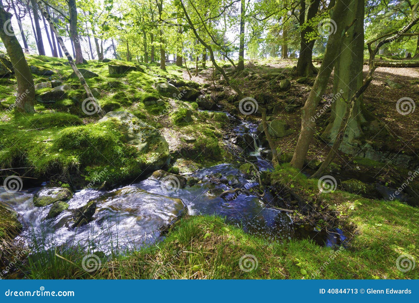 Two streams merging stock image. Image of branches, merging - 40844713