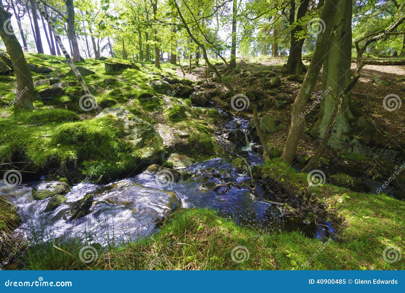 Two streams merging stock image. Image of winding, rural - 40900485