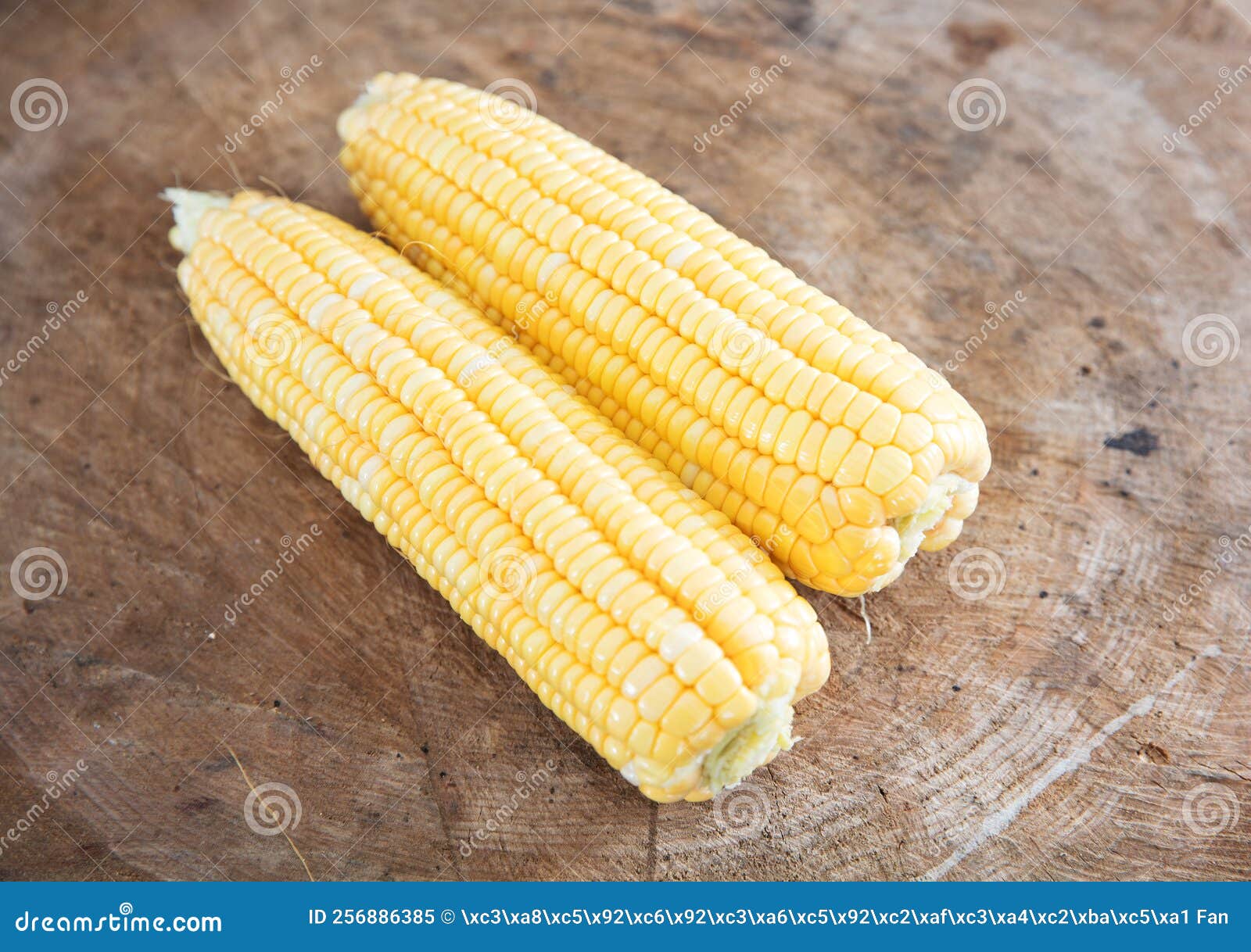 Two Stripped Tender Corn Cobs Stock Image - Image of partially, fresh ...