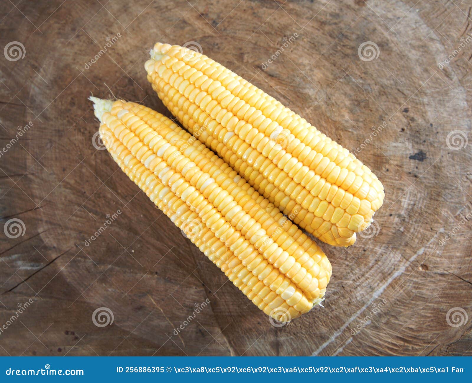 Two Stripped Tender Corn Cobs Stock Image - Image of still, chopping ...