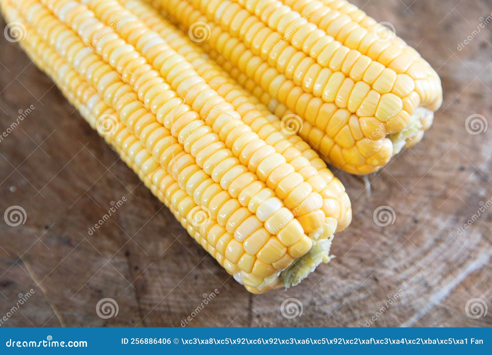Two Stripped Tender Corn Cobs Stock Photo - Image of food, looking ...