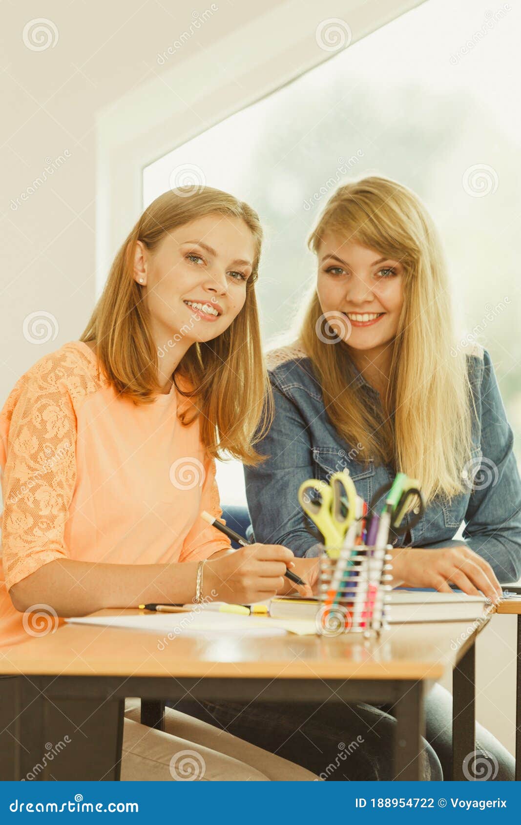 Two students in class stock photo. Image of student - 188954722