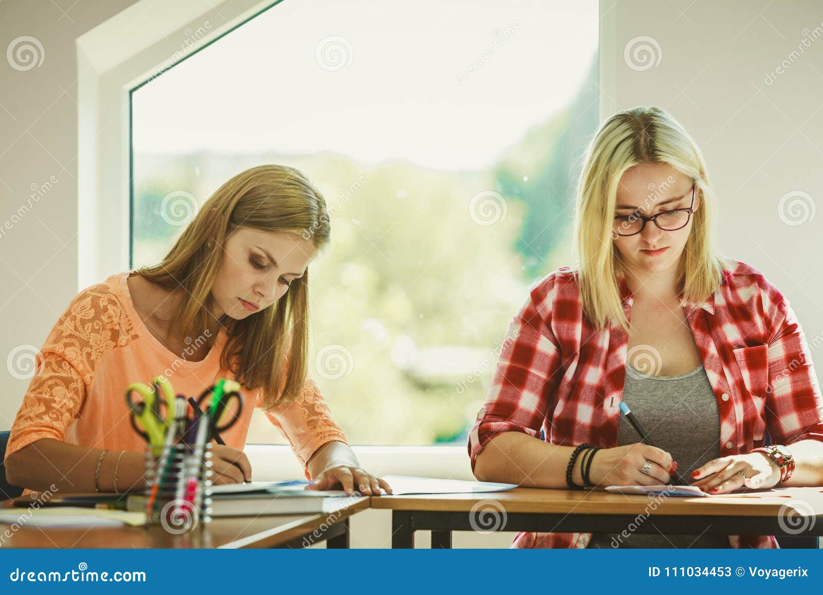 Two students in class stock image. Image of sitting - 111034453