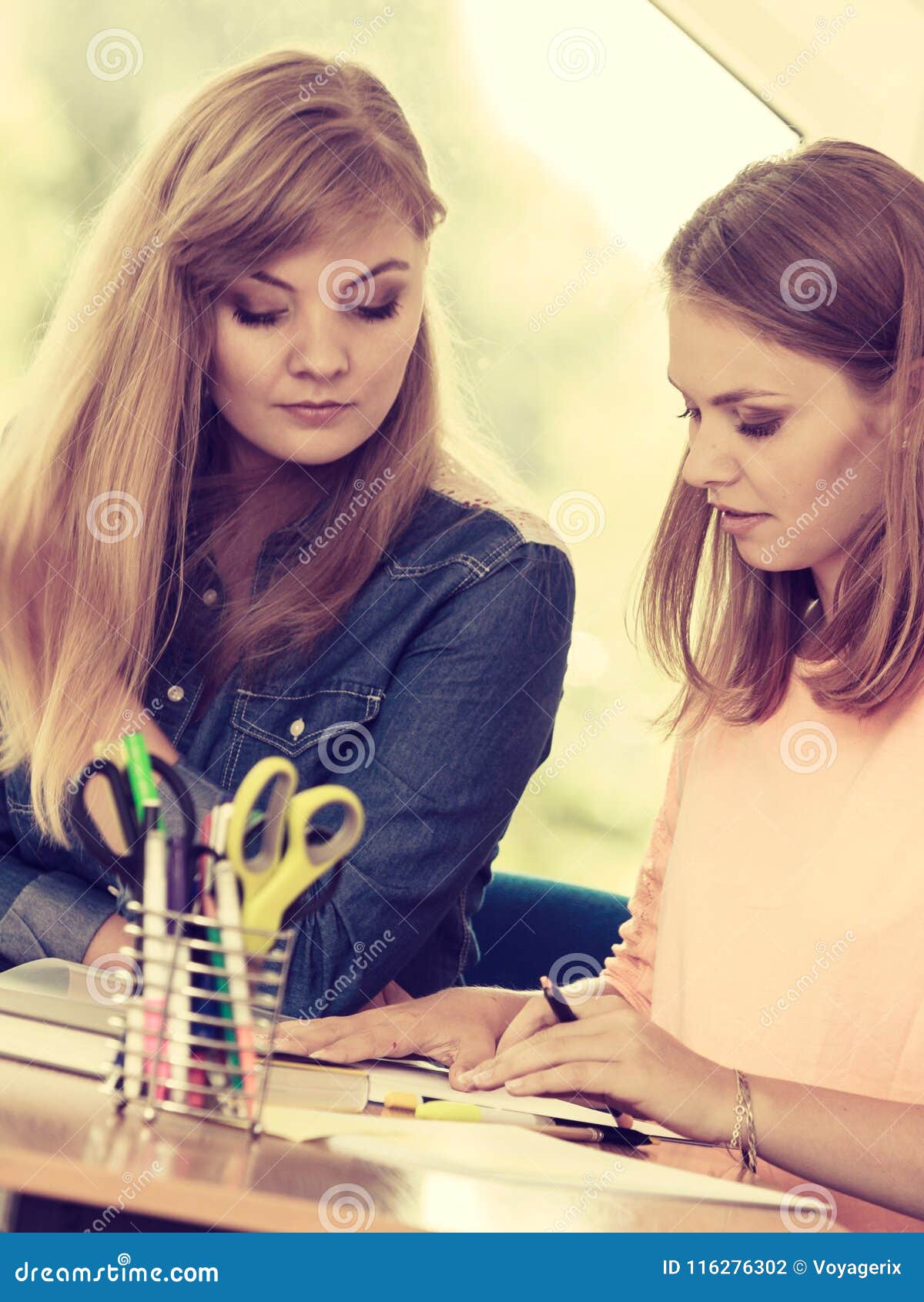 Two students in class stock photo. Image of studying - 116276302