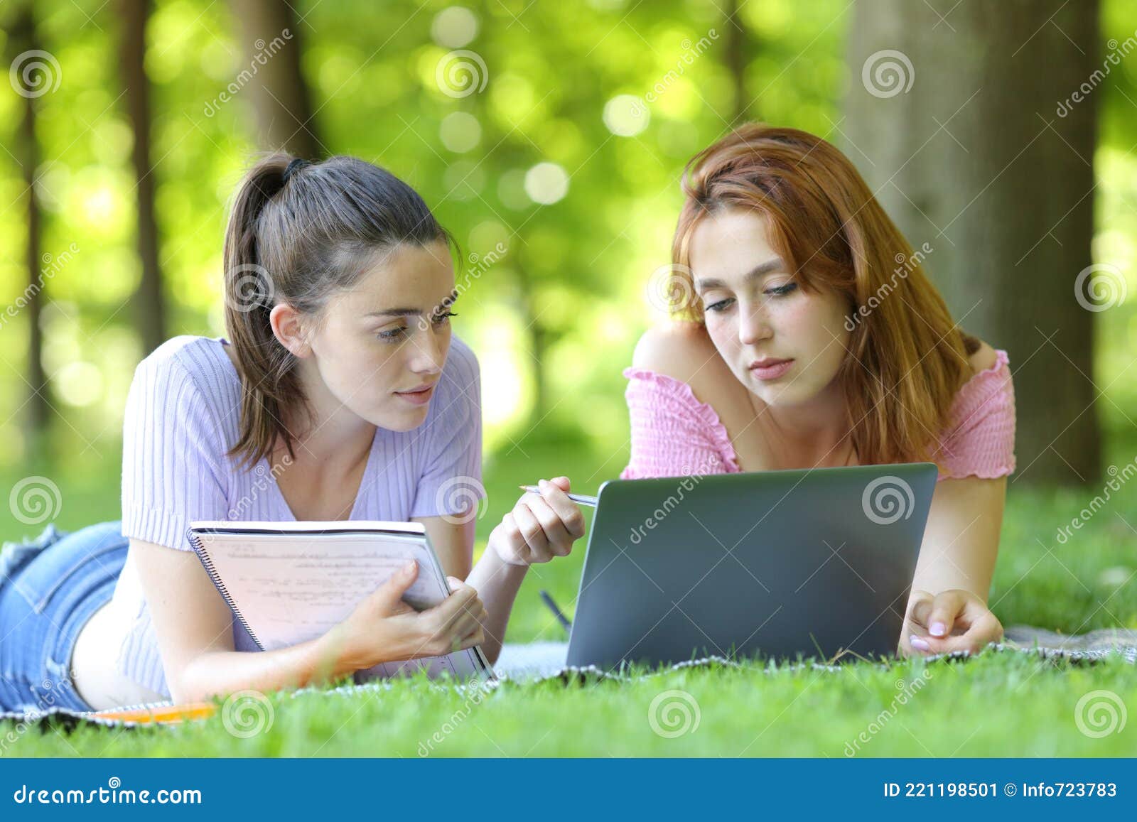 Two Students E-learning Comparing Notes Online in a Park Stock Image ...