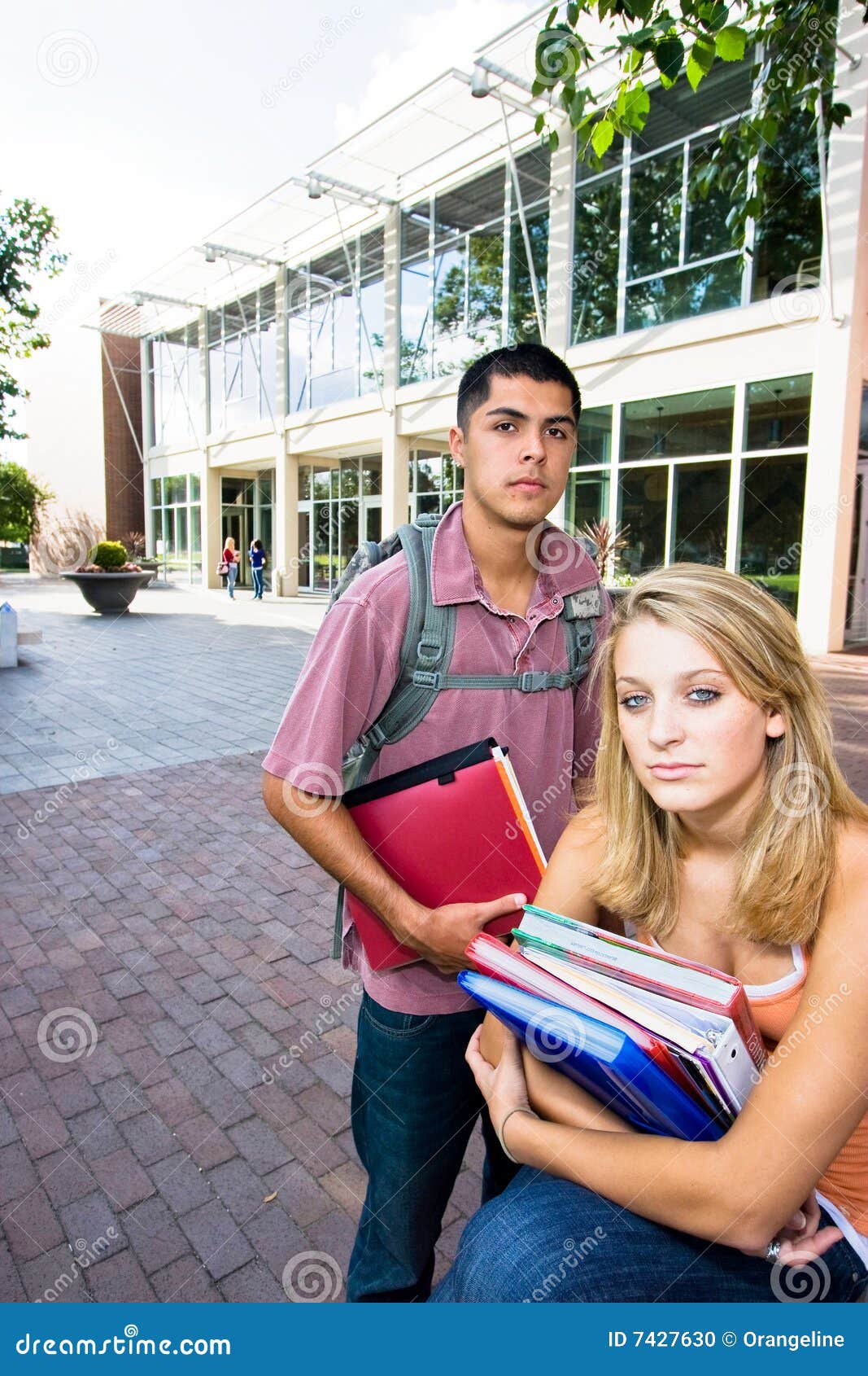 Two Students at School stock photo. Image of male, books - 7427630
