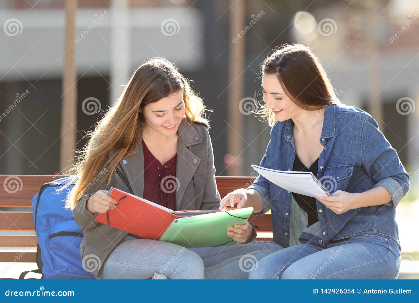 Two Students Studying Comparing Notes in a Park Stock Photo - Image of ...